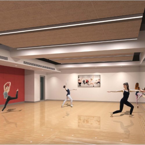 Dragon Center for Activities & Athletics | Hong Kong International School
