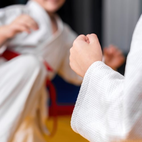 Dragon Center for Activities & Athletics | Hong Kong International School