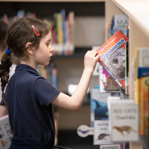 Lower Primary | Hong Kong International School